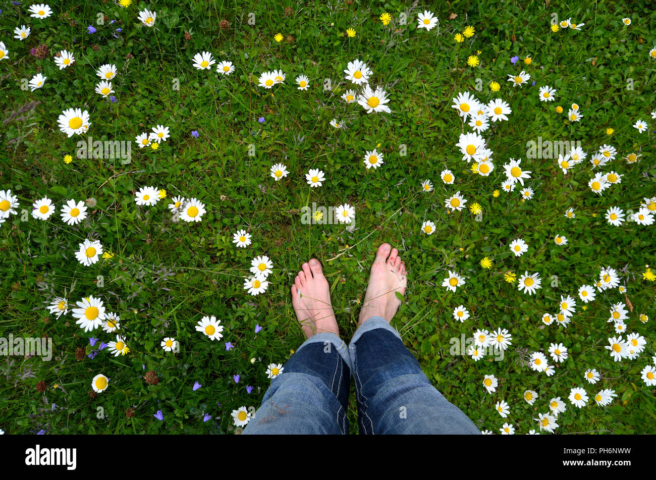 Summer spring feet hi-res stock photography and images - Alamy
