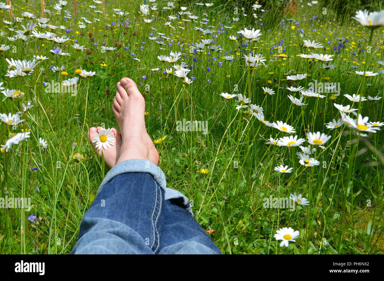 Purple feet hi-res stock photography and images - Alamy