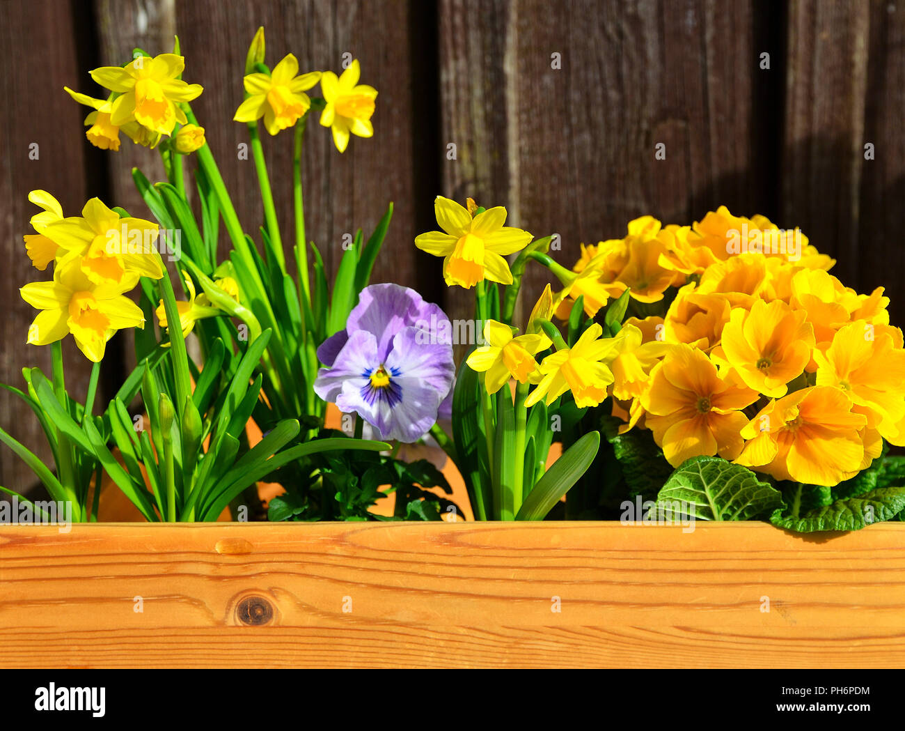 Spring planting garden wood Stock Photo - Alamy