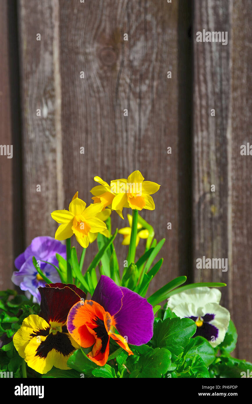 Spring planting garden Stock Photo - Alamy