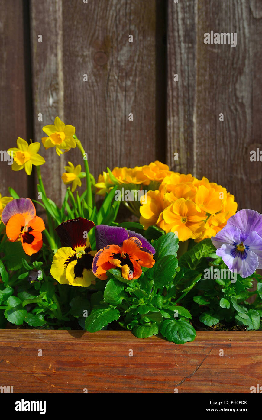 Spring planting garden wood Stock Photo - Alamy