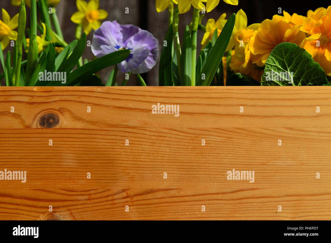 Spring planting garden wood Stock Photo - Alamy