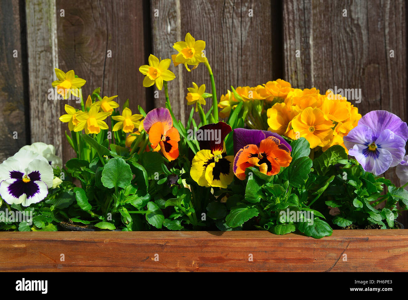 Spring planting garden Stock Photo - Alamy