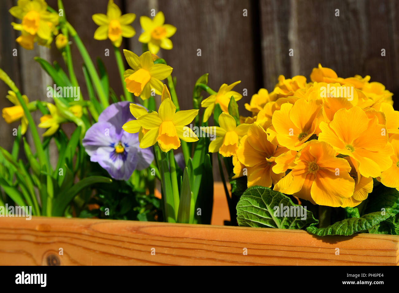 Spring planting garden Stock Photo - Alamy