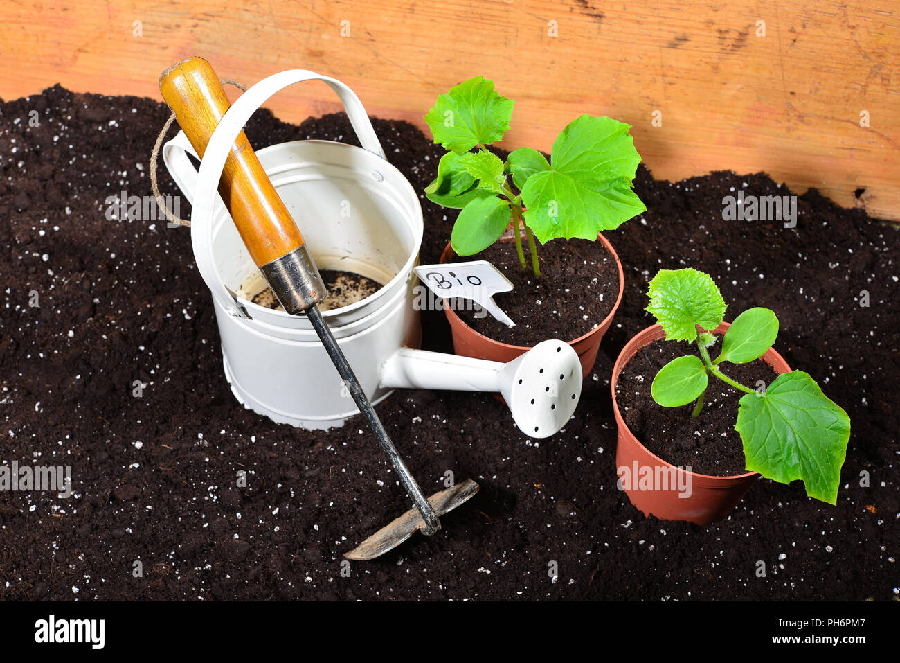 Potting plants greenhouse hi-res stock photography and images - Alamy