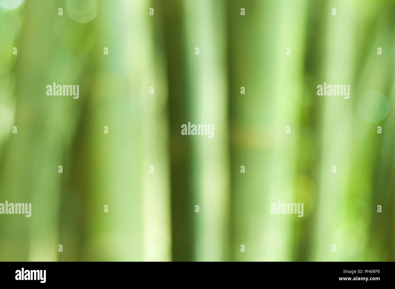 Abstract blurry background from plants Stock Photo - Alamy