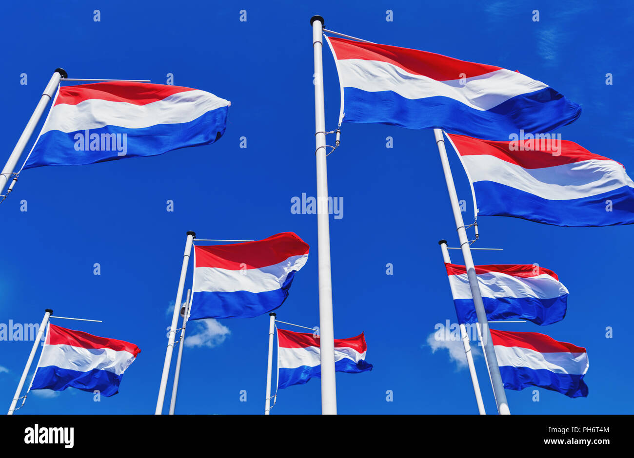 Many dutch flags hi-res stock photography and images - Alamy