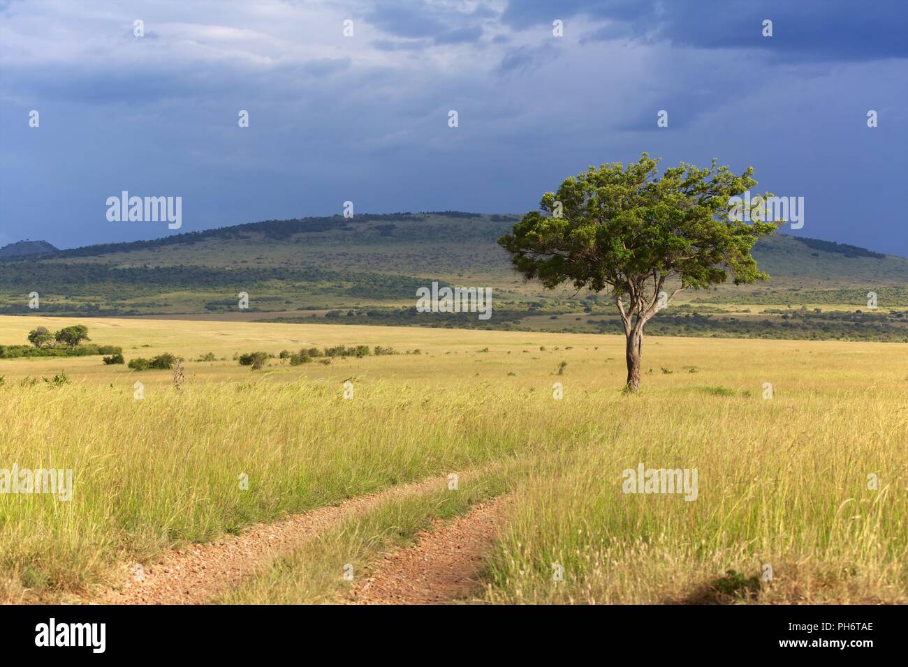 Masai mara landscape hi-res stock photography and images - Alamy