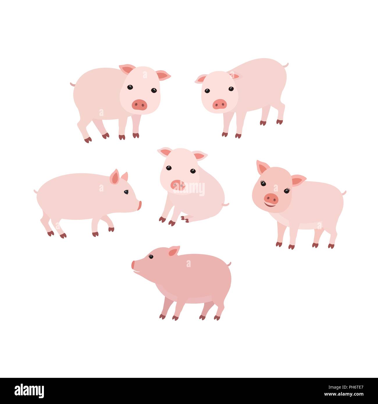Set of Vector Cartoon Illustration. Cute Pigs in Different Poses for ...