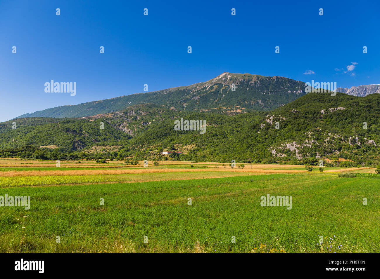 Leskovik hi-res stock photography and images - Alamy