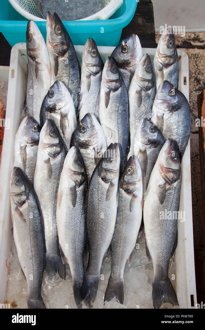Mediterranean sea bream fish market hi-res stock photography and images ...