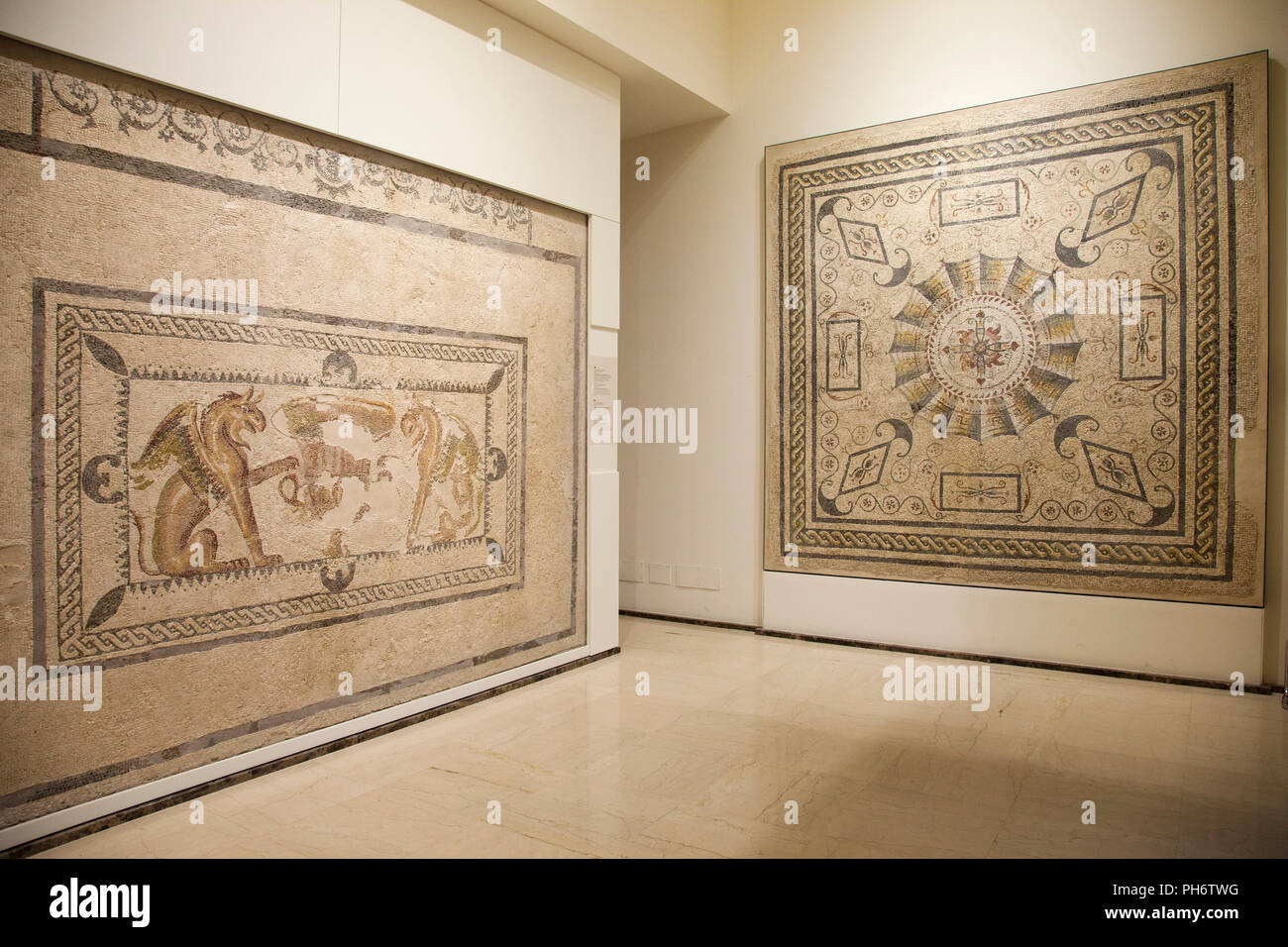 mosaic floor of polychrome tesserae, Roman Town, 2nd century A.D ...
