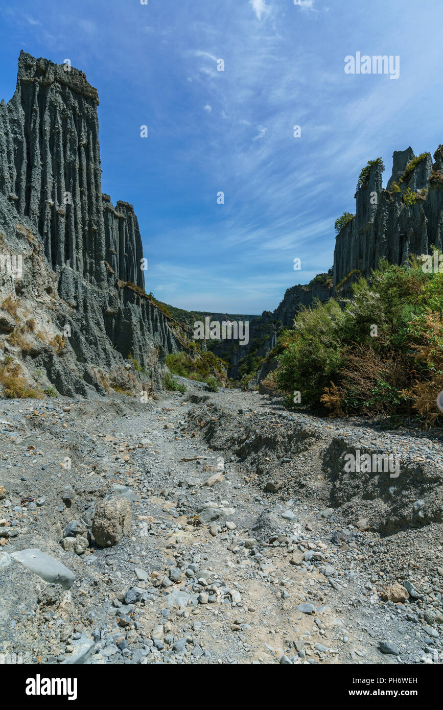rocks, trees and the blue sky. rock needles at putangirua pinnacles ...