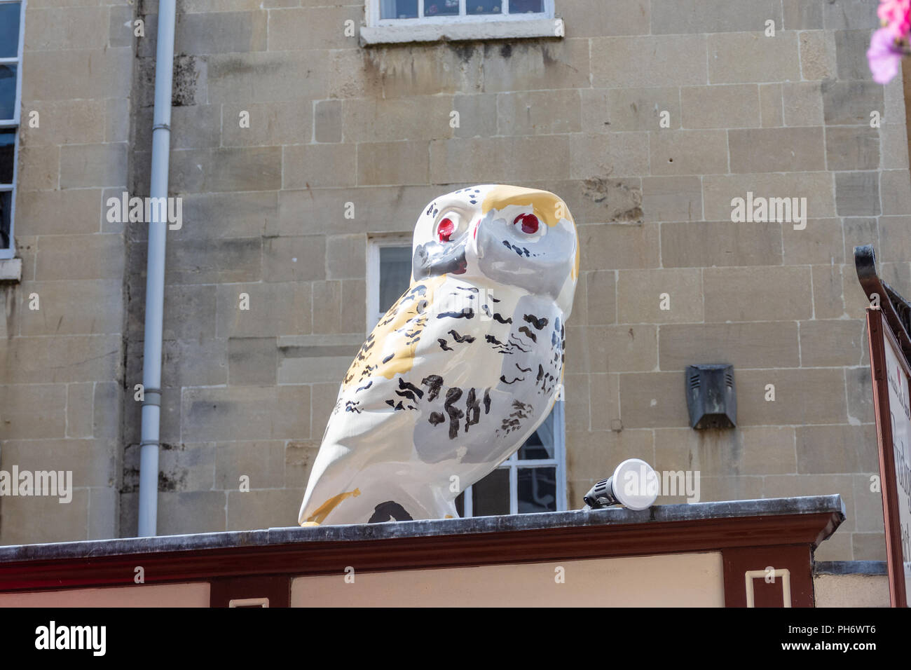George the owl sponsored by The Owls of Bath trail looks out from the ...
