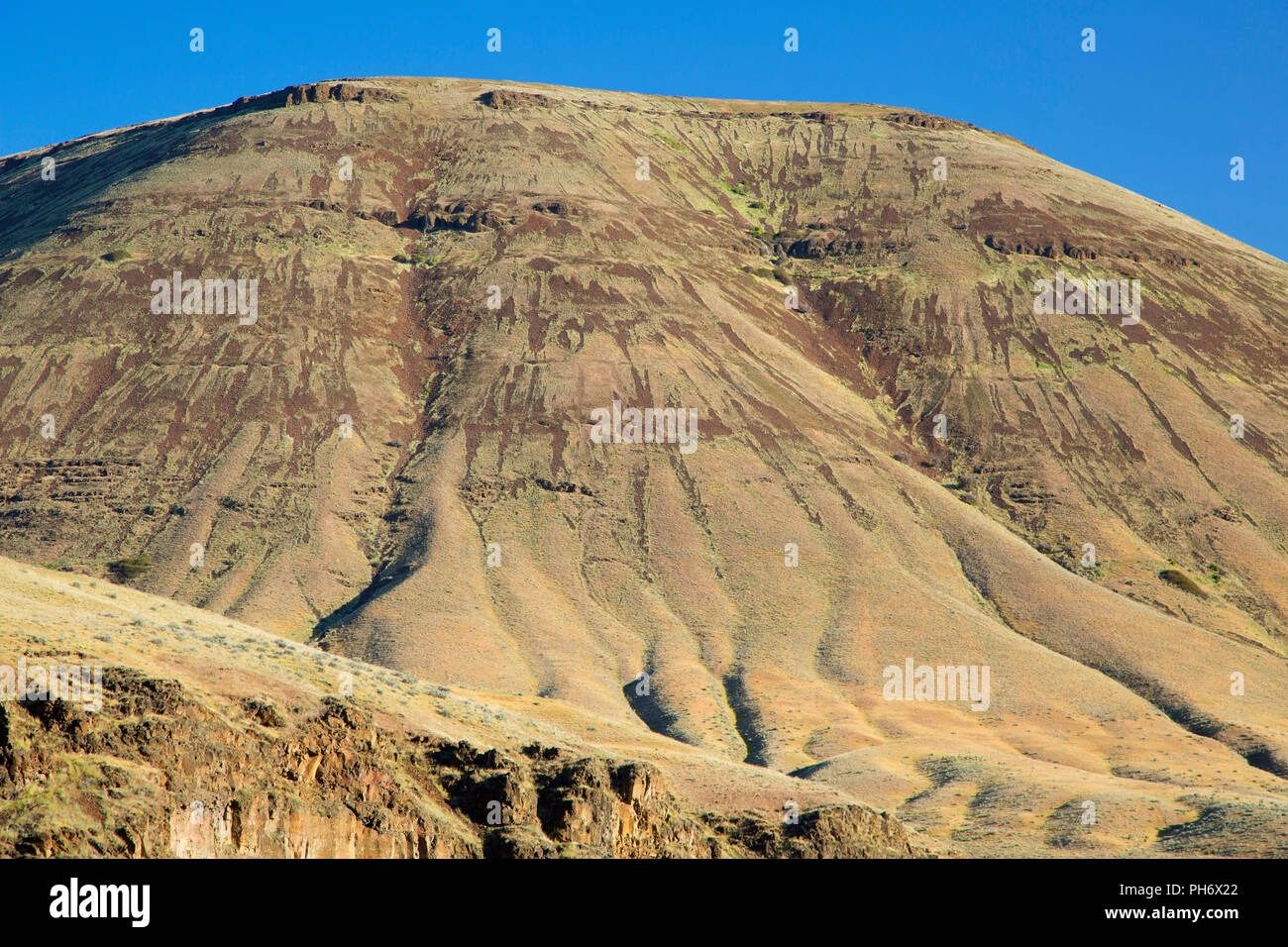 Canyon slope, Deschutes Wild and Scenic River, Lower Deschutes National ...