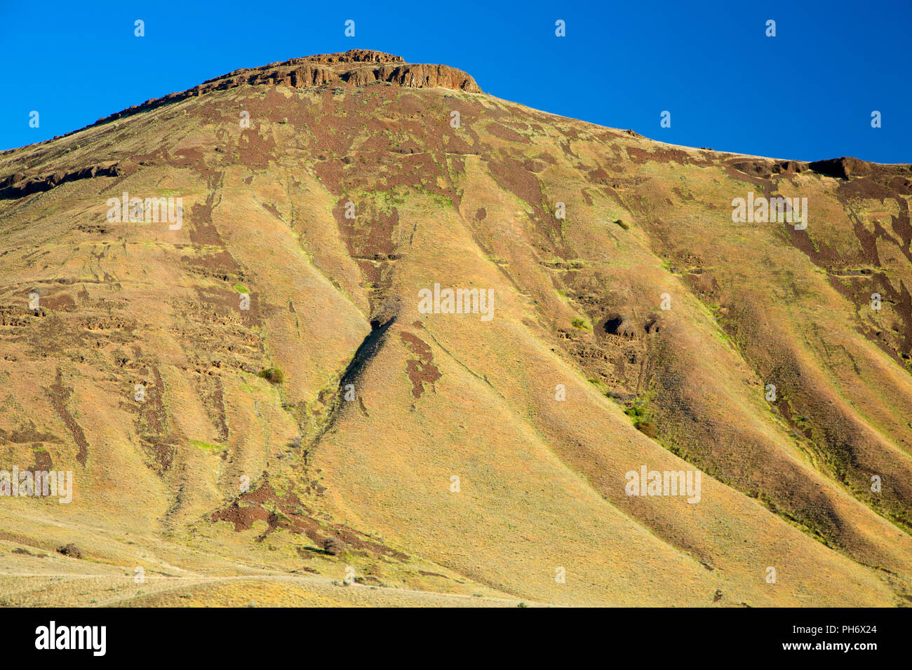 Canyon slope, Deschutes Wild and Scenic River, Lower Deschutes National ...