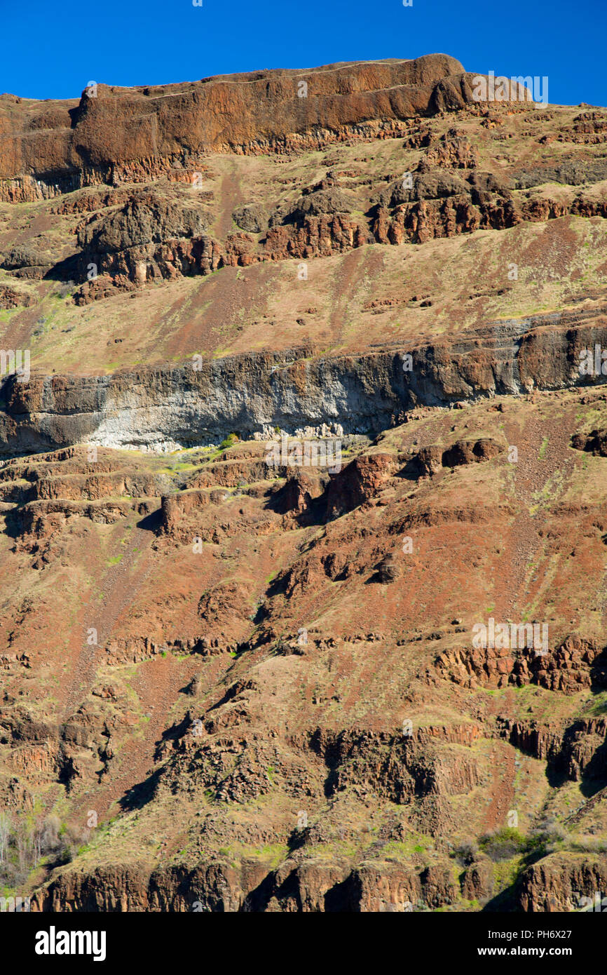 Canyon slope, Deschutes Wild and Scenic River, Lower Deschutes National ...