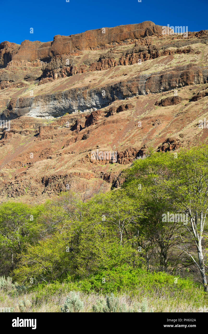 Canyon slope, Deschutes Wild and Scenic River, Lower Deschutes National ...