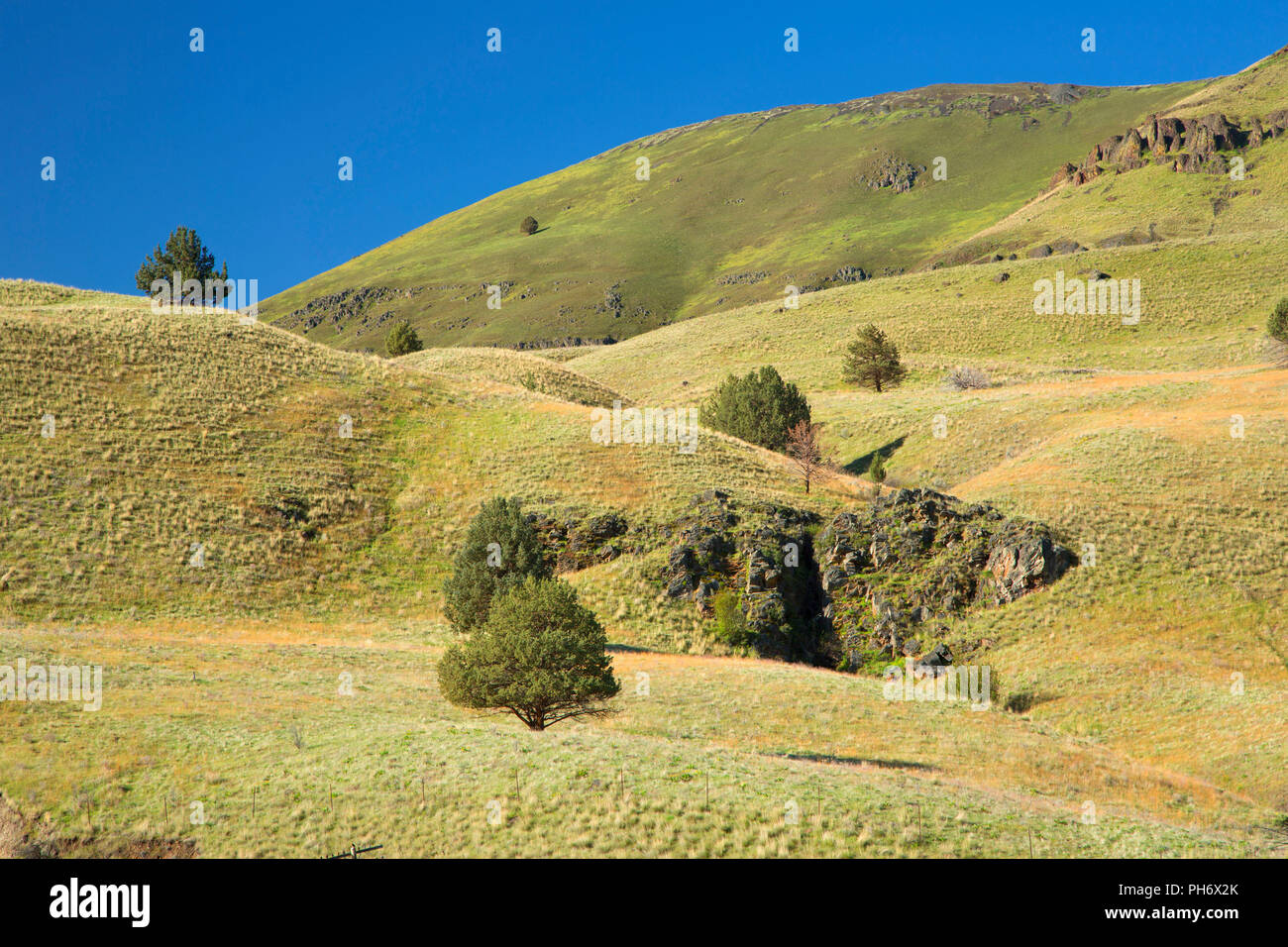 Canyon slope, Deschutes Wild and Scenic River, Lower Deschutes National ...