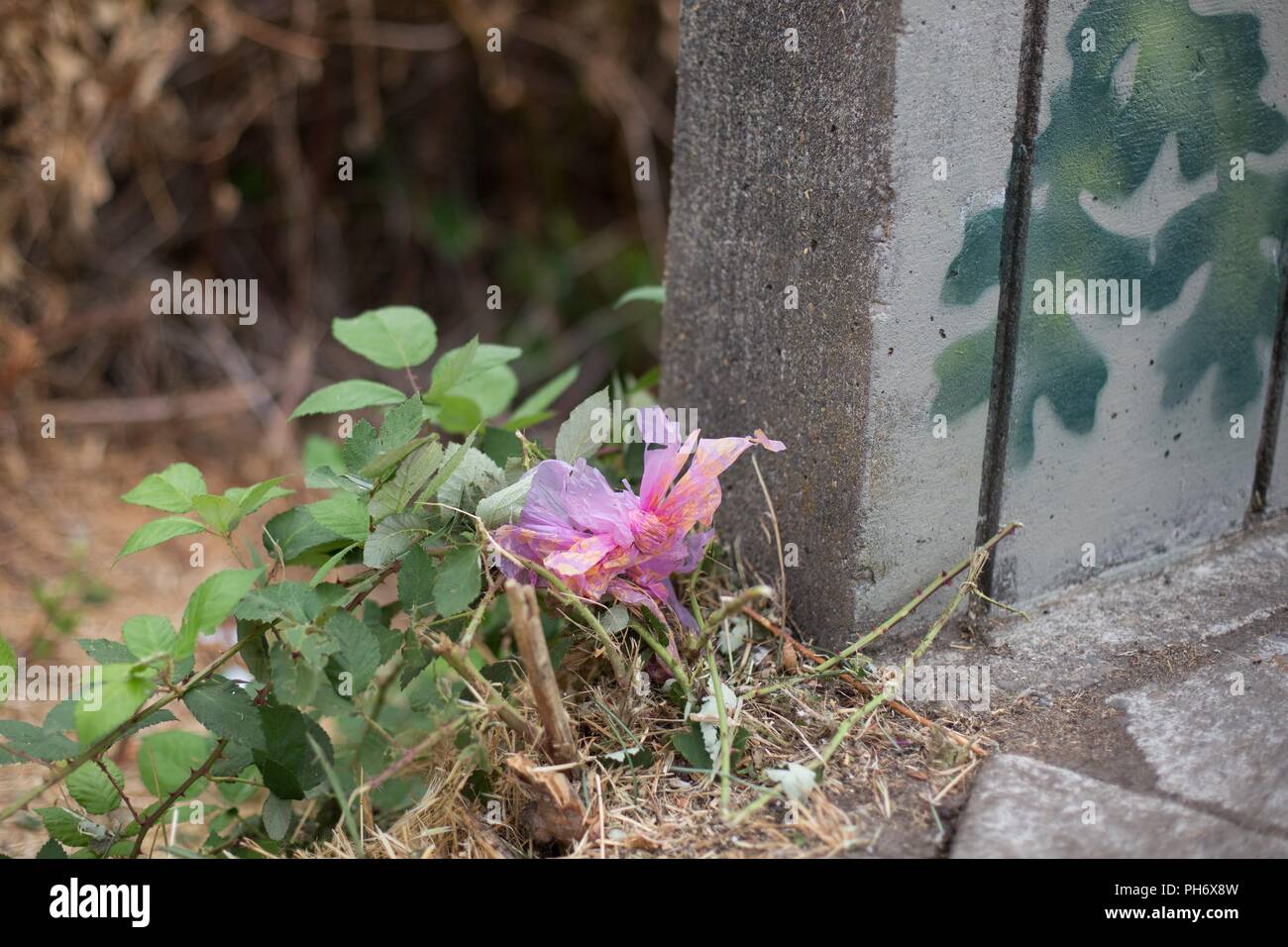 Plastic bag litter hi-res stock photography and images - Alamy