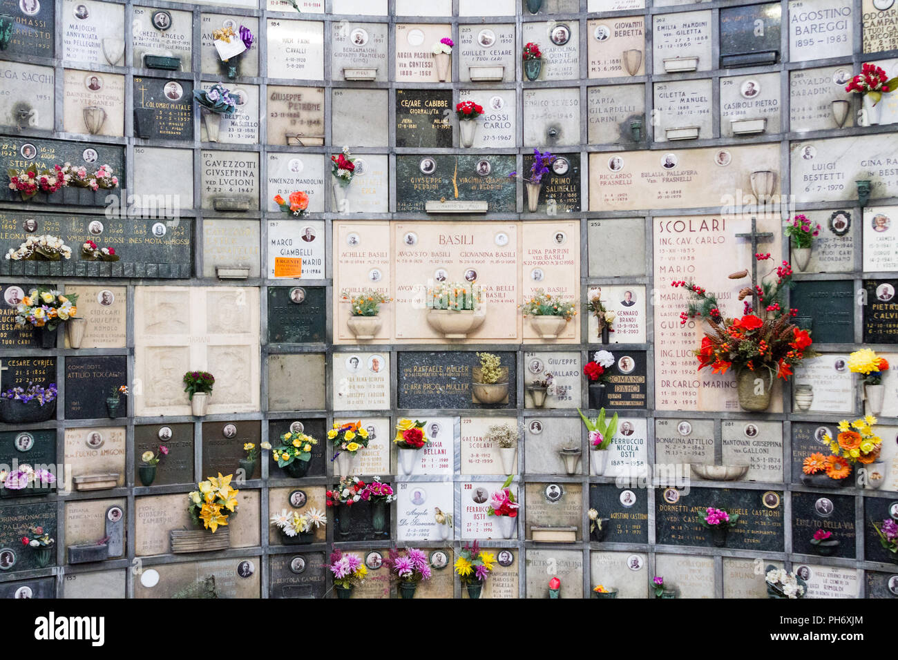 Human ashes hi-res stock photography and images - Alamy