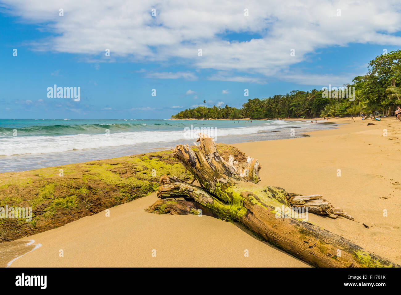 A typical view in Punta uva in Costa Rica Stock Photo - Alamy