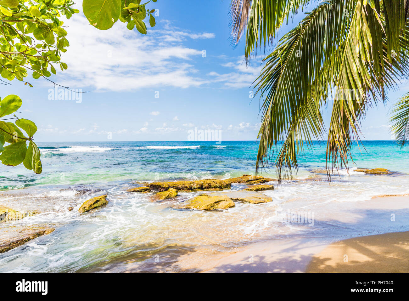 A typical view in Punta uva in Costa Rica Stock Photo - Alamy