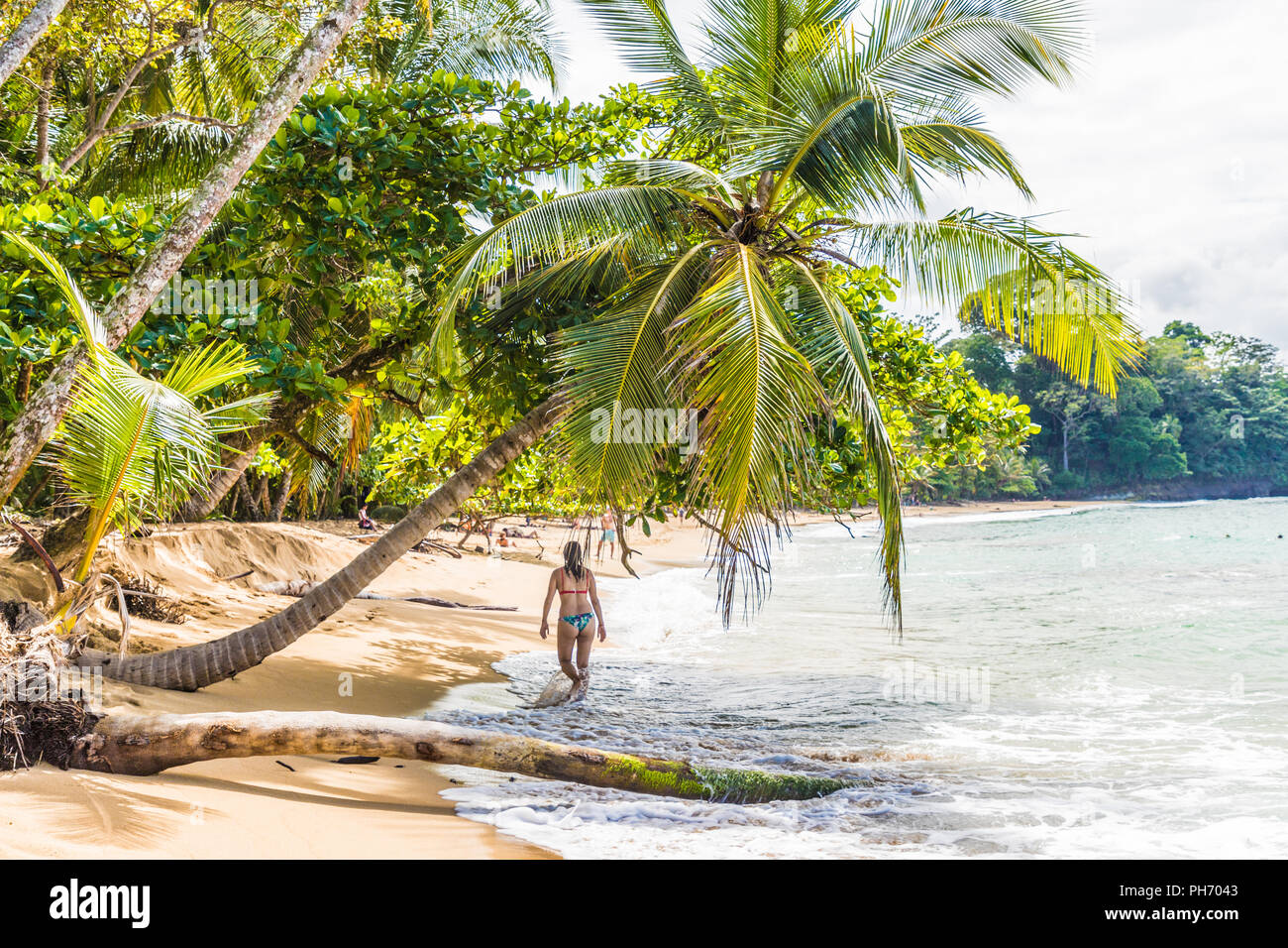 A typical view in Punta uva in Costa Rica Stock Photo - Alamy