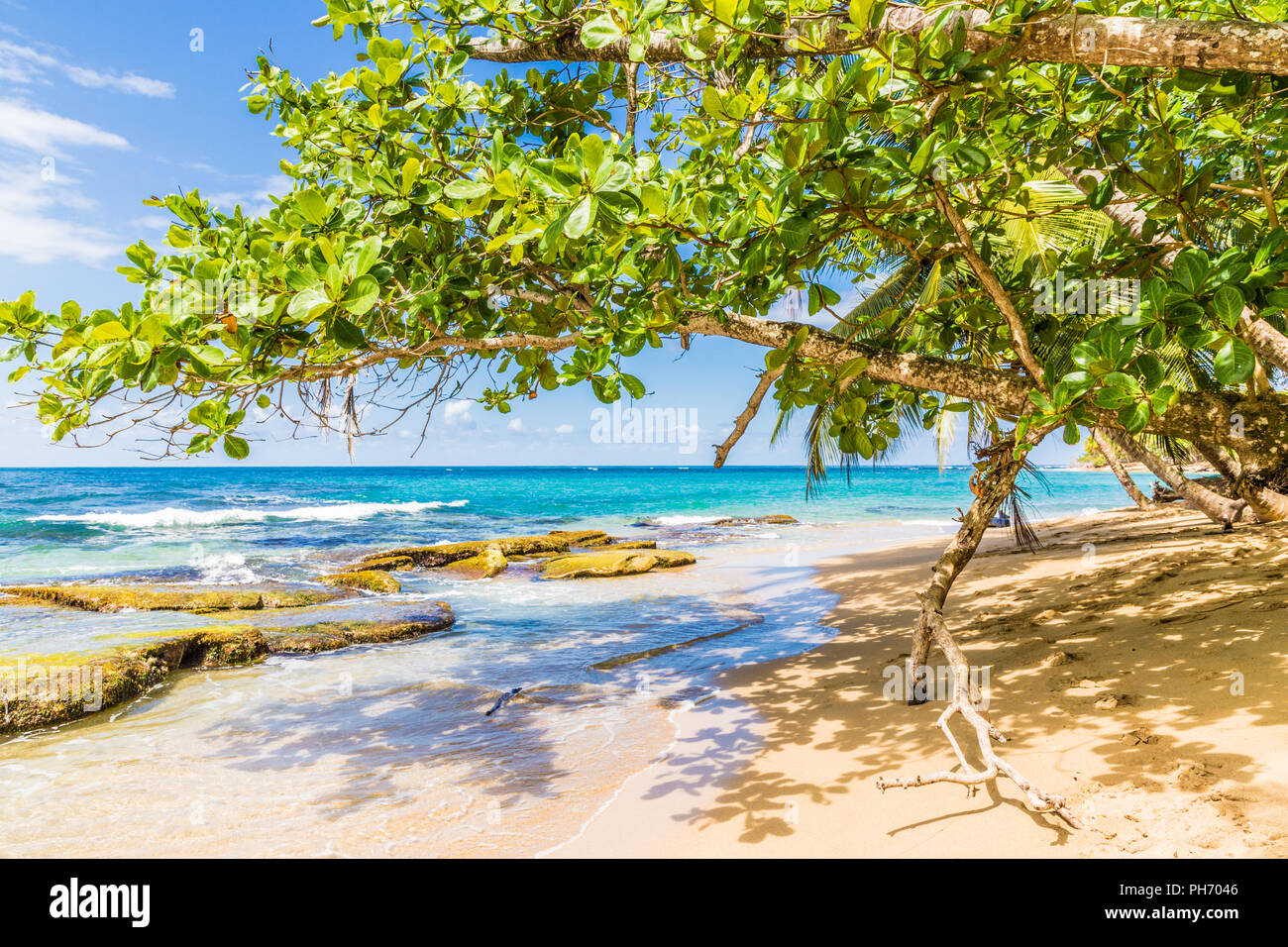 A typical view in Punta uva in Costa Rica Stock Photo - Alamy