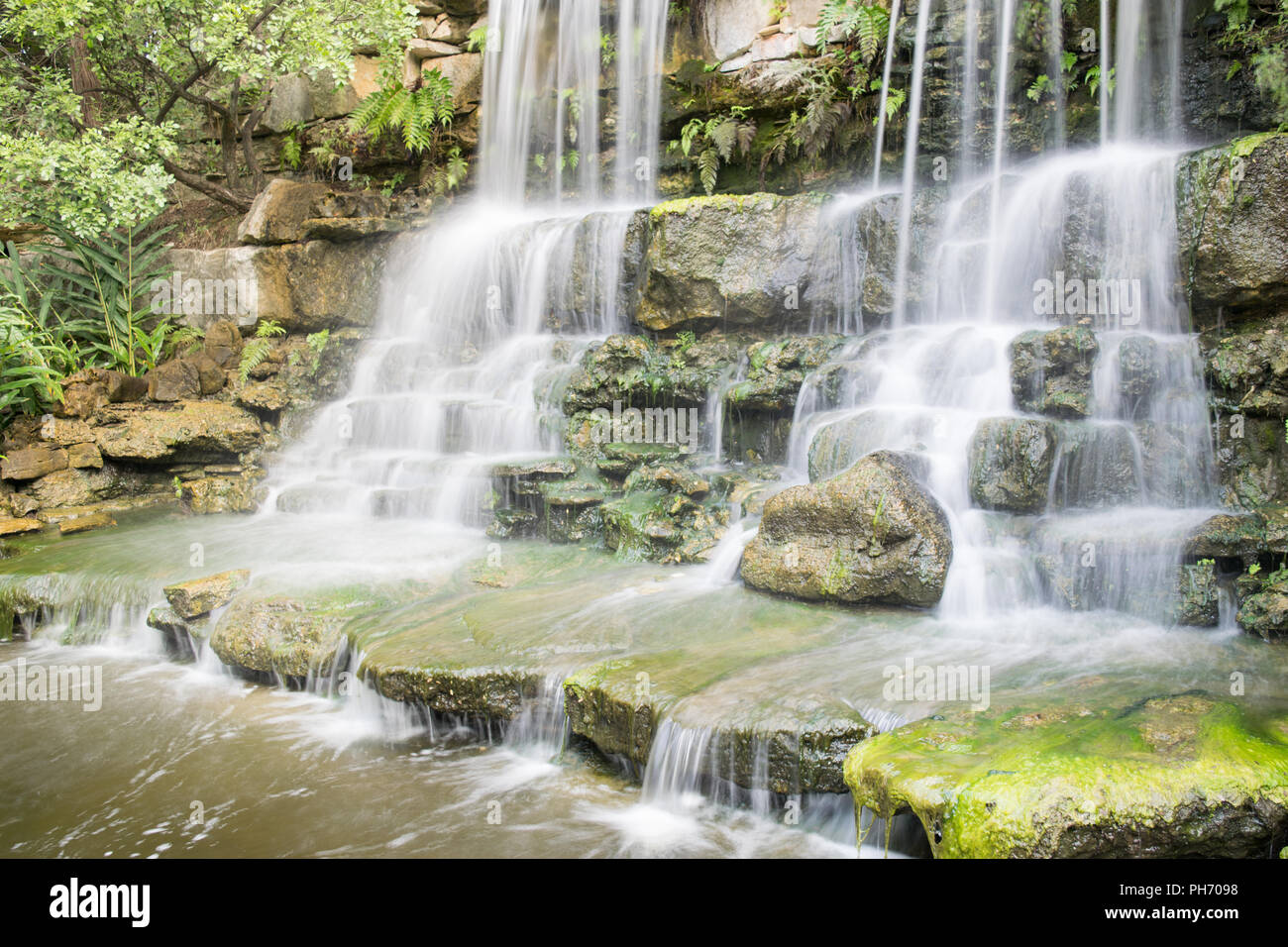 Barton springs austin hi-res stock photography and images - Alamy
