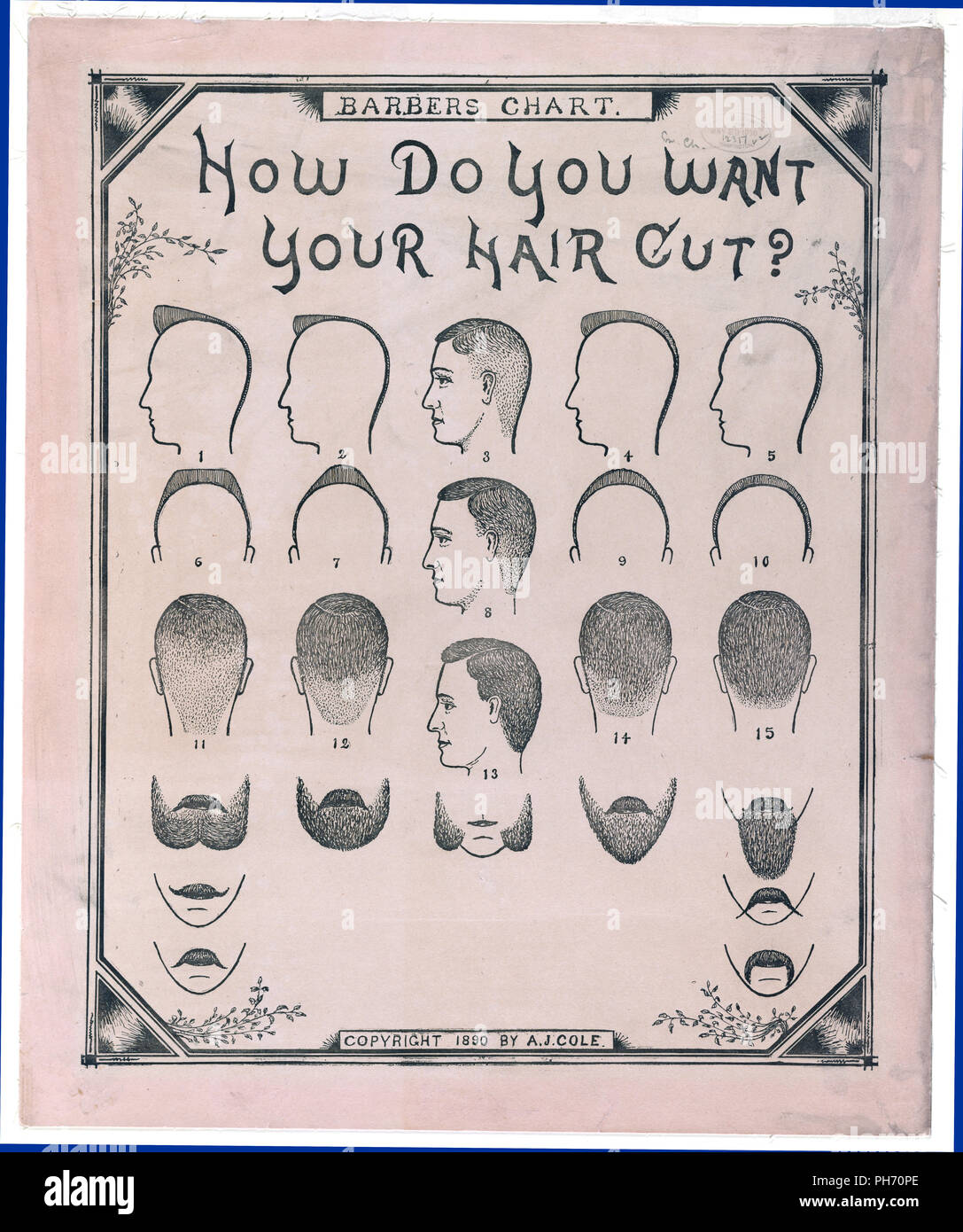 Barber Hair Cutting Chart