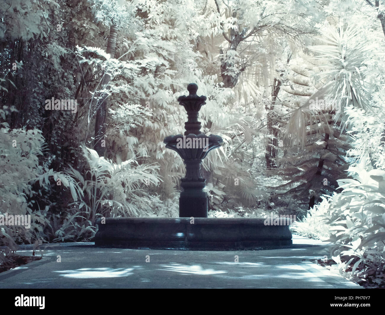 Fountain of palm trees hi-res stock photography and images - Alamy