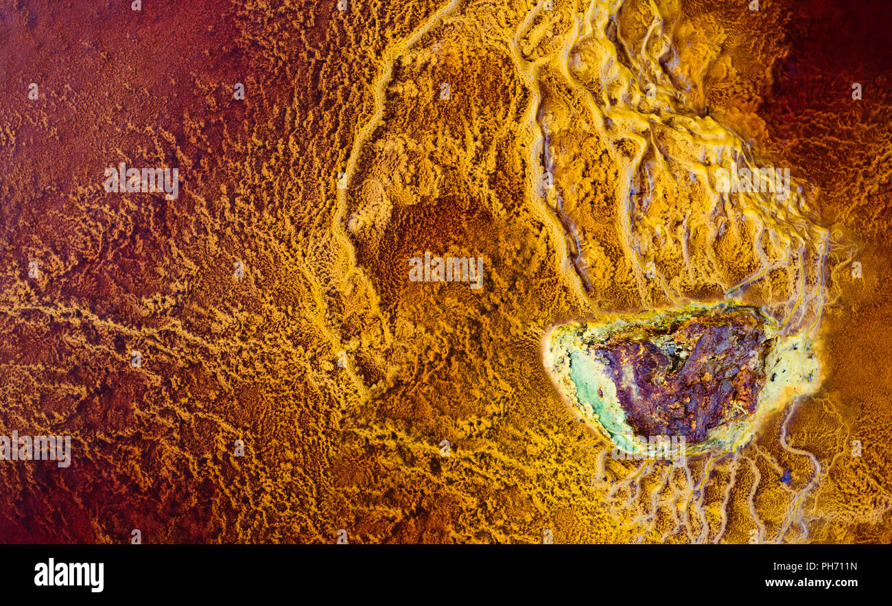 Mineral rock surrounded by stromatolites, this environment is studied ...
