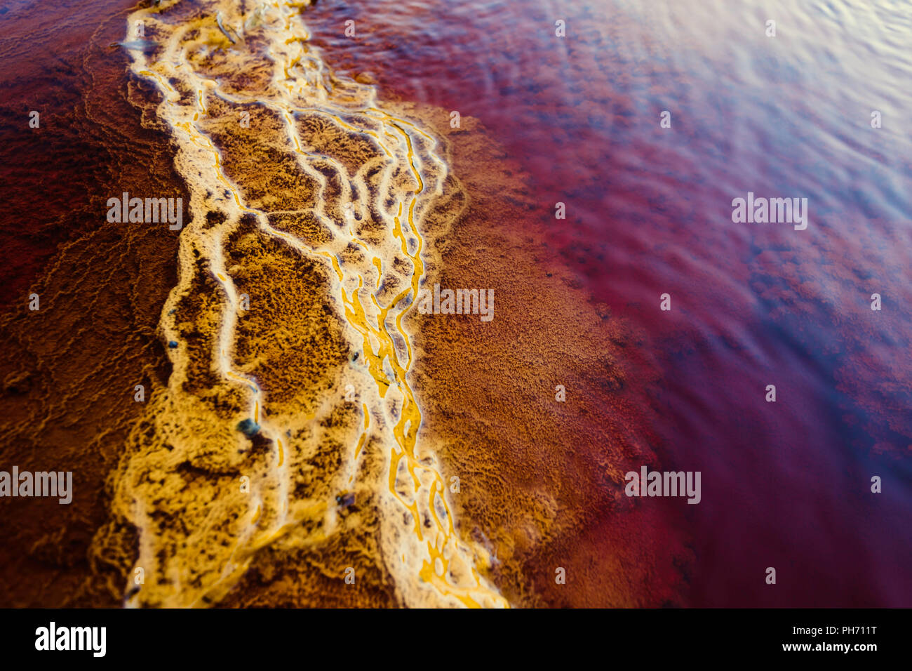 Stromatolites illuminated by the sun and surrounded by red water by ...