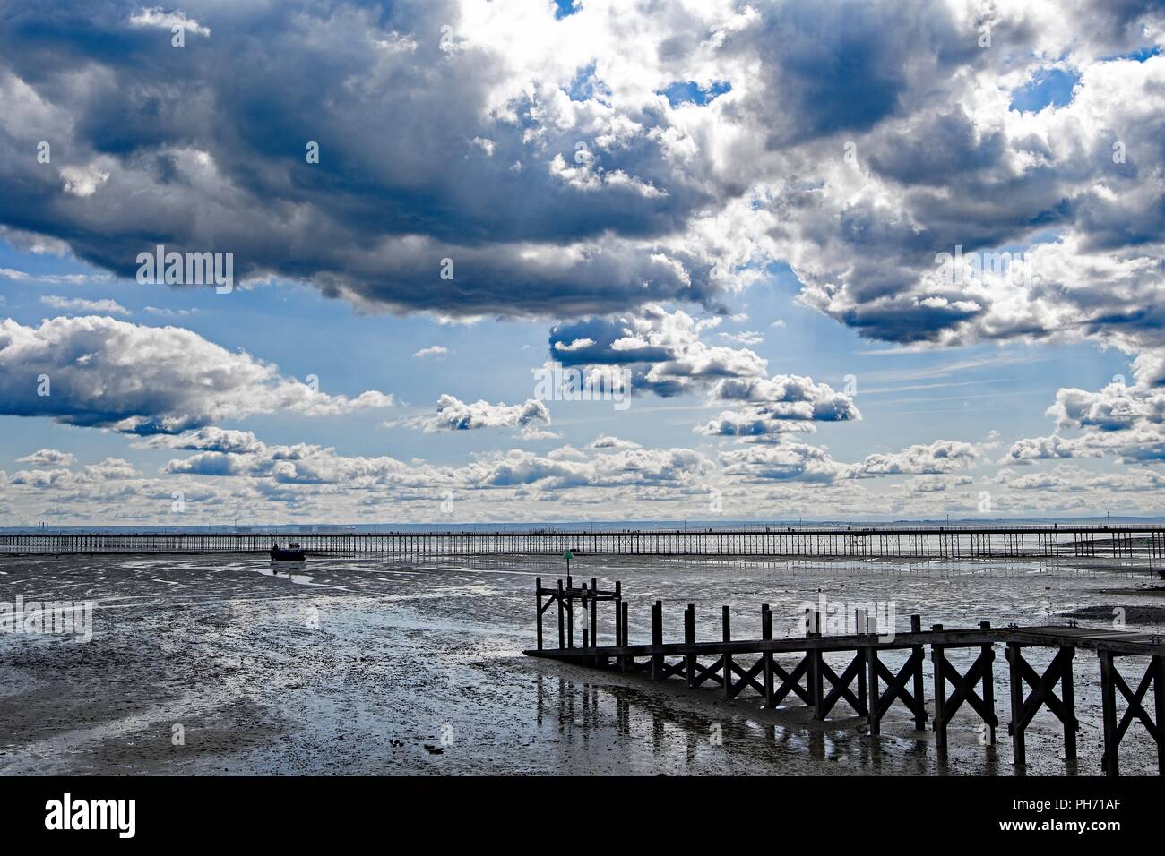 The longest pleasure pier in the world hi-res stock photography and ...