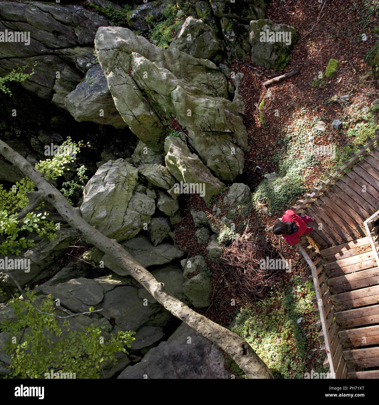 Felsenmeer Hemer, Germany, North Rhine-Westphalia Stock Photo - Alamy