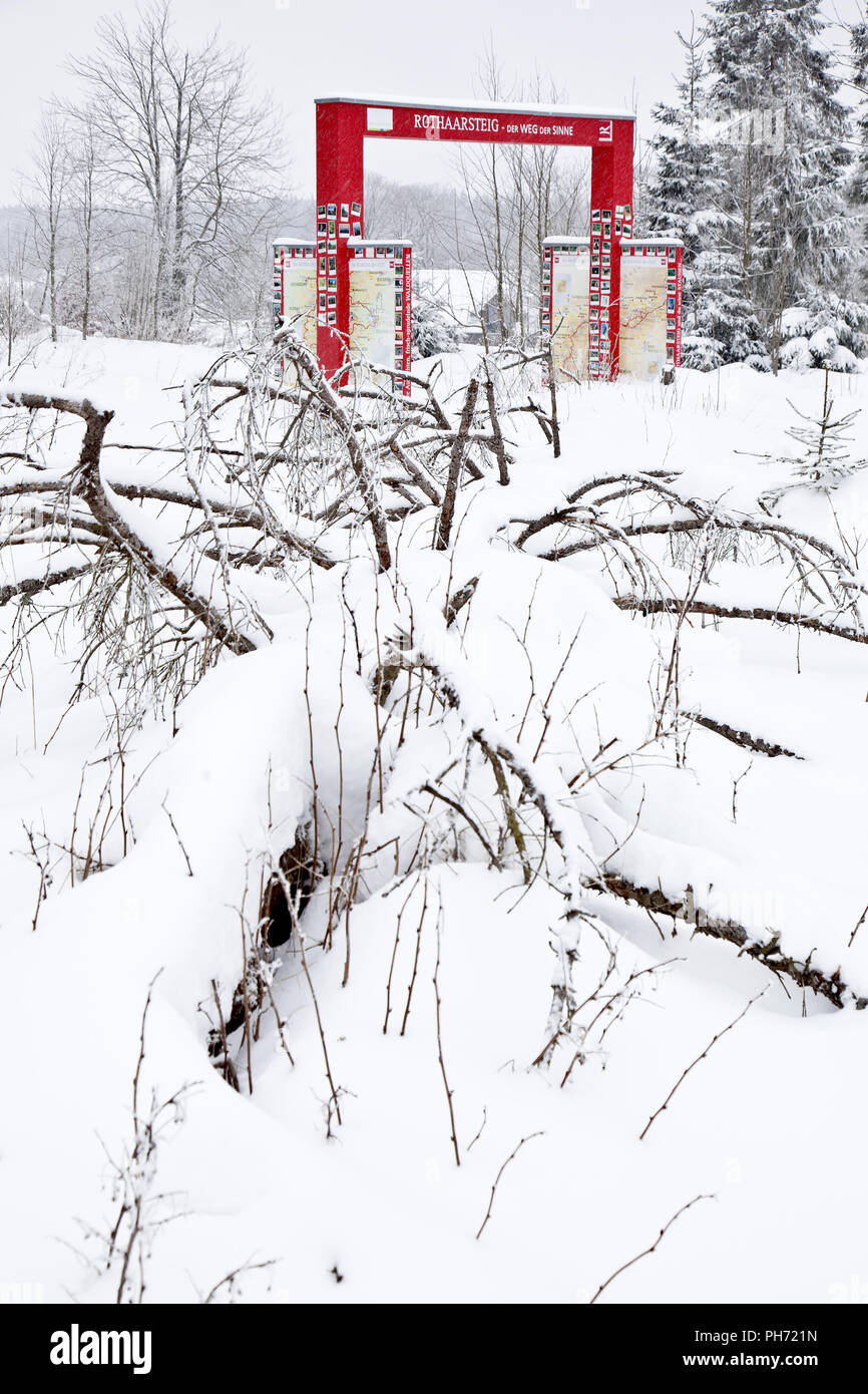 Kyrill pfad hi-res stock photography and images - Alamy