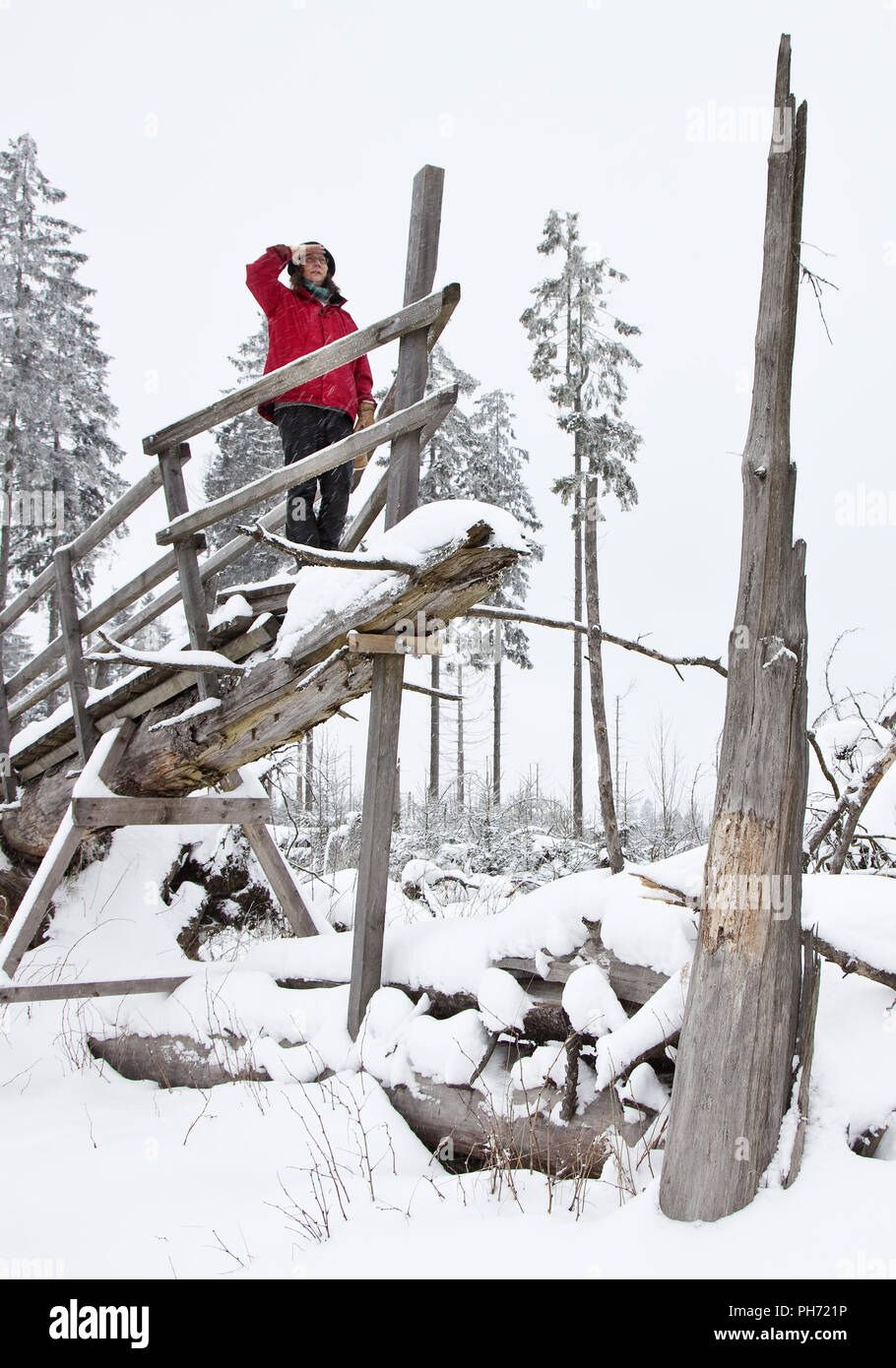 Kyrill Pfad High Resolution Stock Photography and Images - Alamy