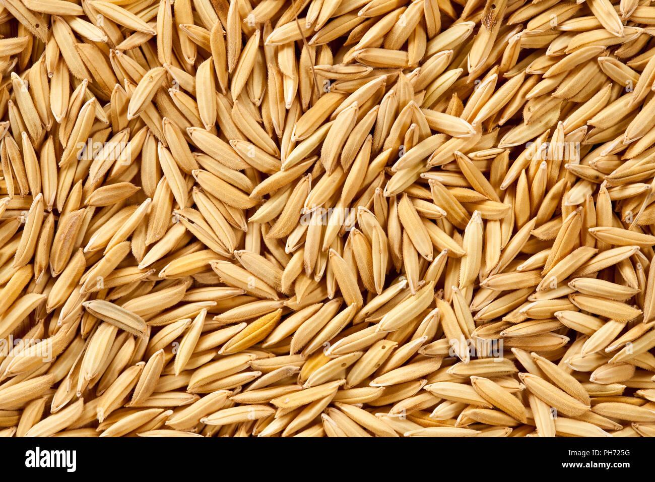 Paddy seeds hi-res stock photography and images - Alamy