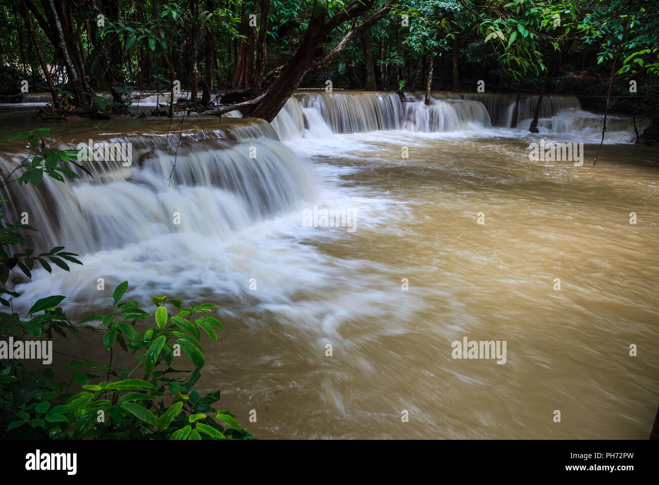 Tropical rainforest scene with rain hi-res stock photography and images ...