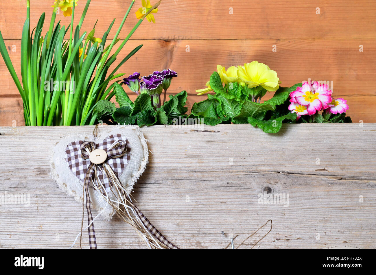 Spring wood background Easter flowers Stock Photo - Alamy