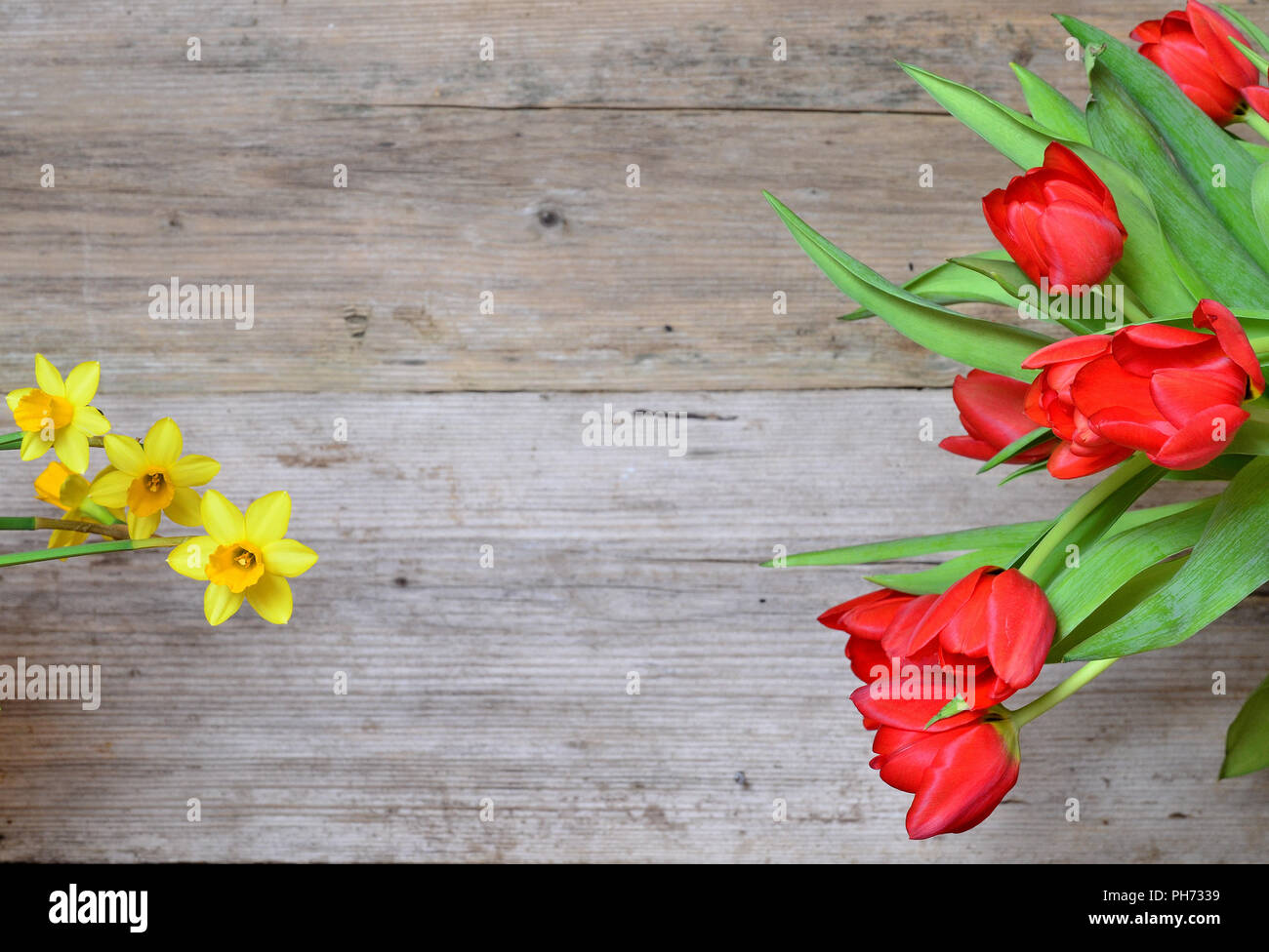 Spring wood background red tulips Stock Photo - Alamy