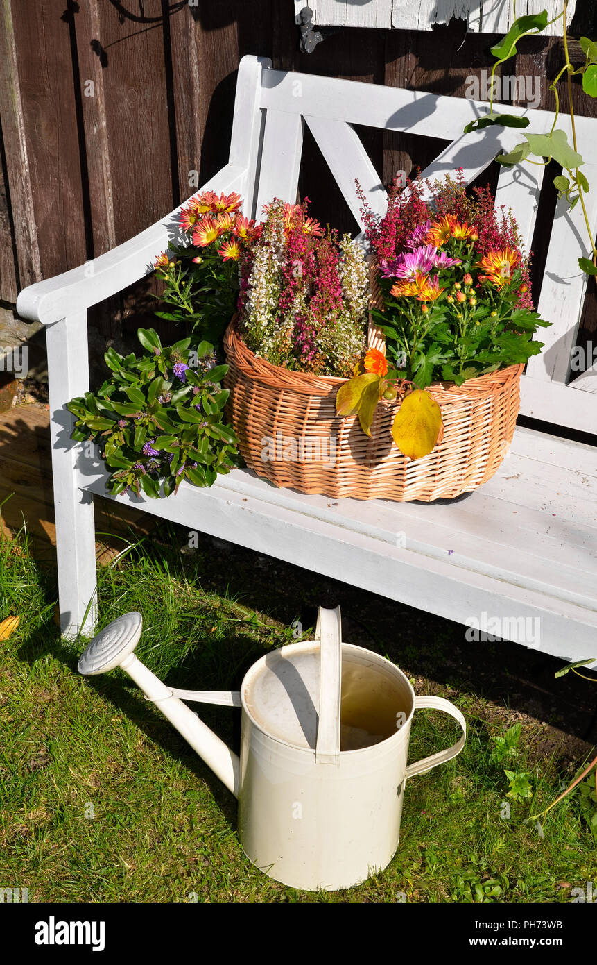 Garden basket hi-res stock photography and images - Alamy
