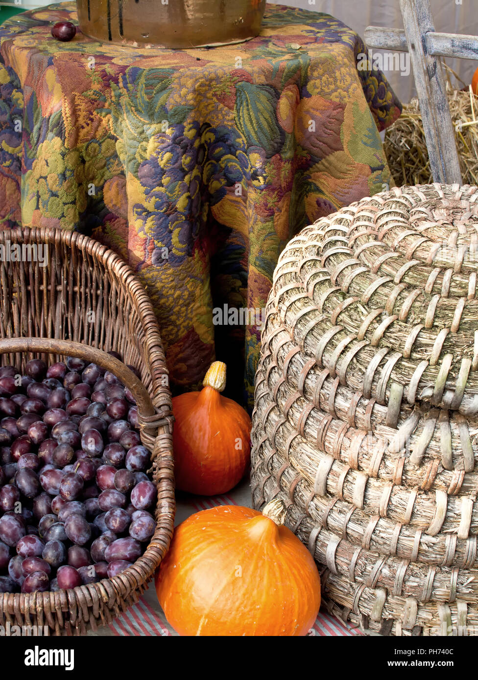 Kuerbissart hi-res stock photography and images - Alamy