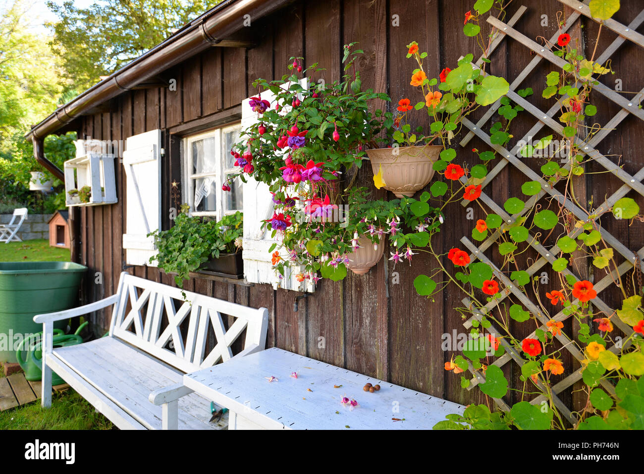 Wooden bench cottage garden hi-res stock photography and images - Alamy