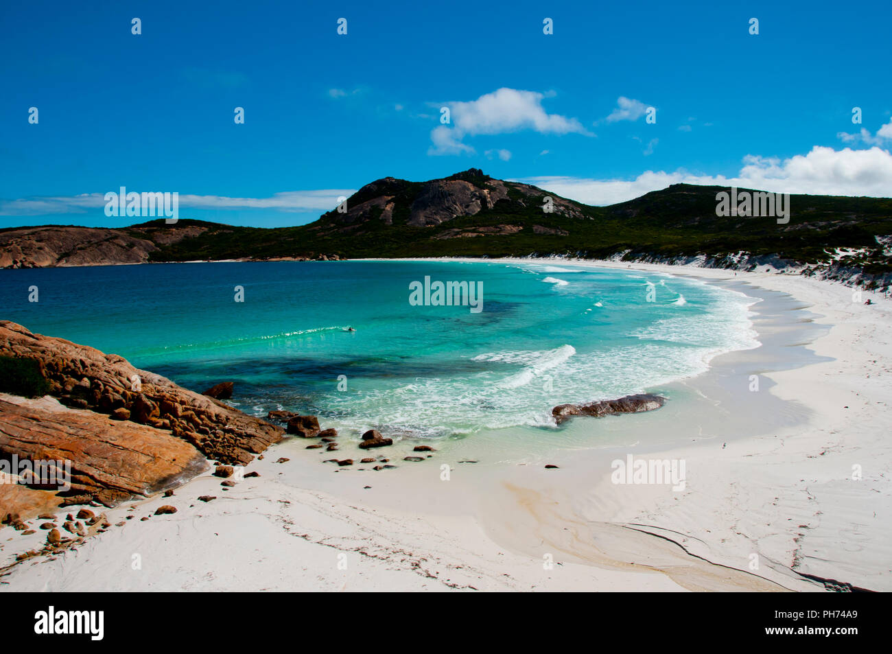Sand thistle hi-res stock photography and images - Alamy