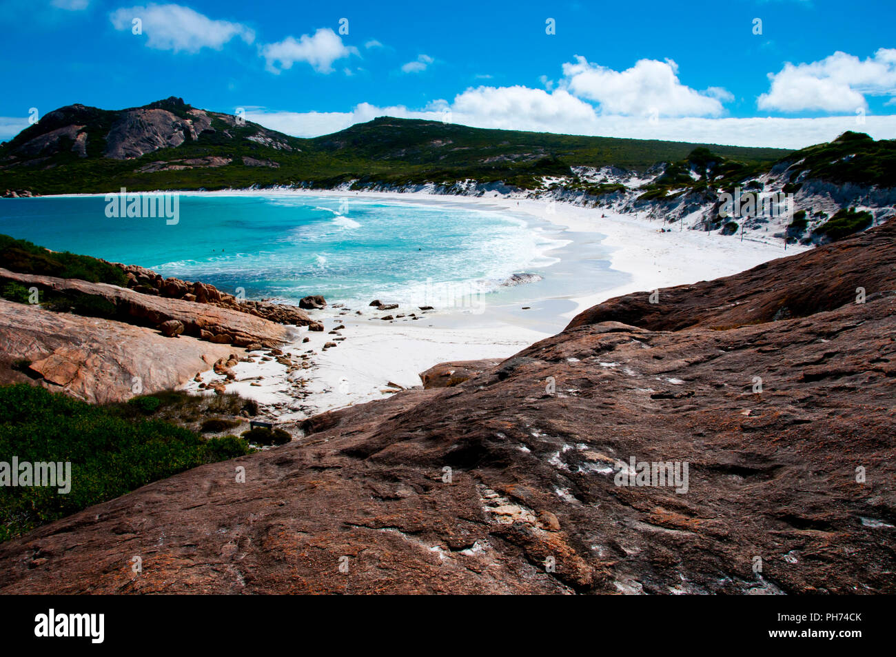 Sand thistle hi-res stock photography and images - Alamy