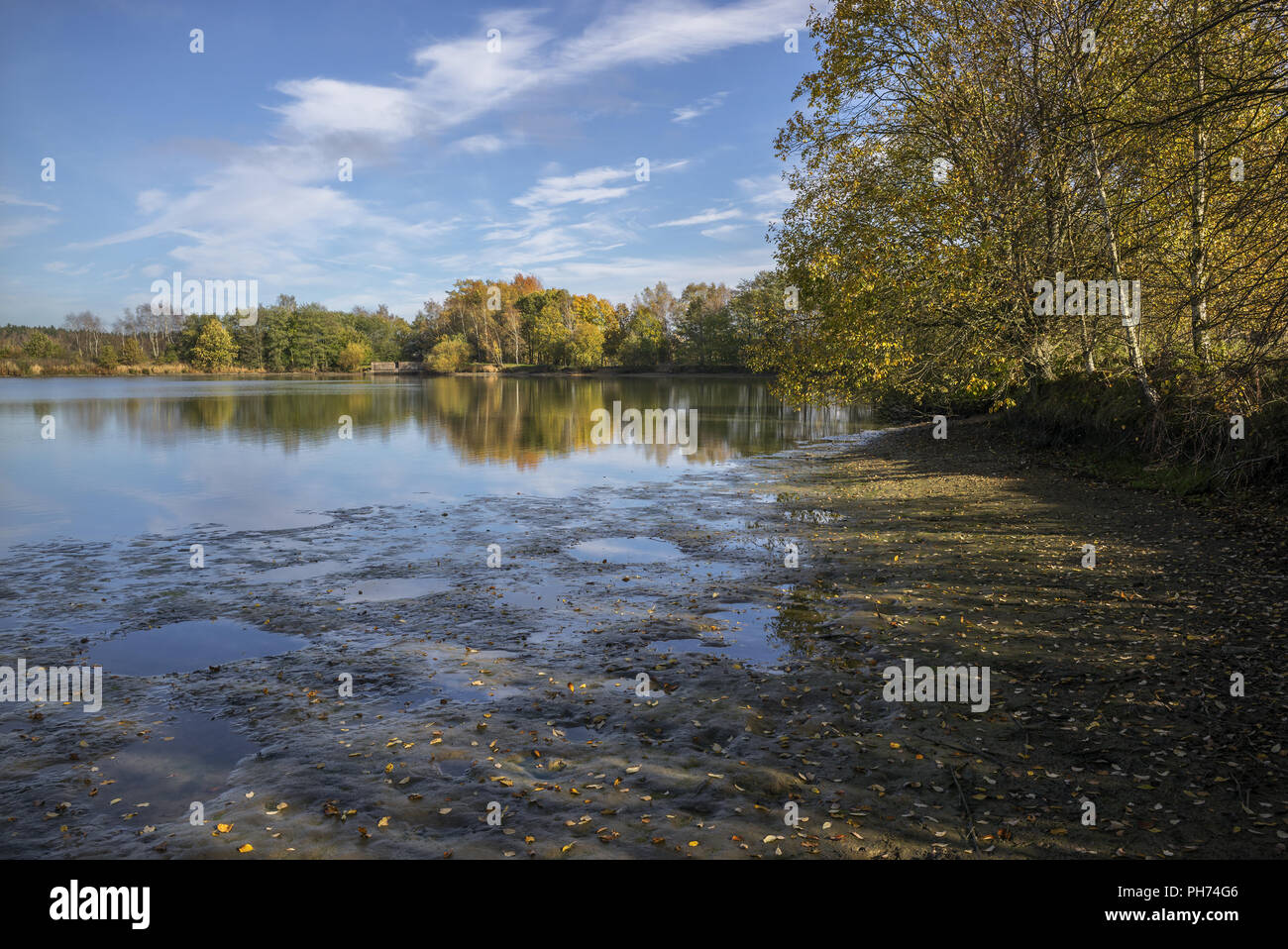 Pond scenery in autumn Stock Photo - Alamy