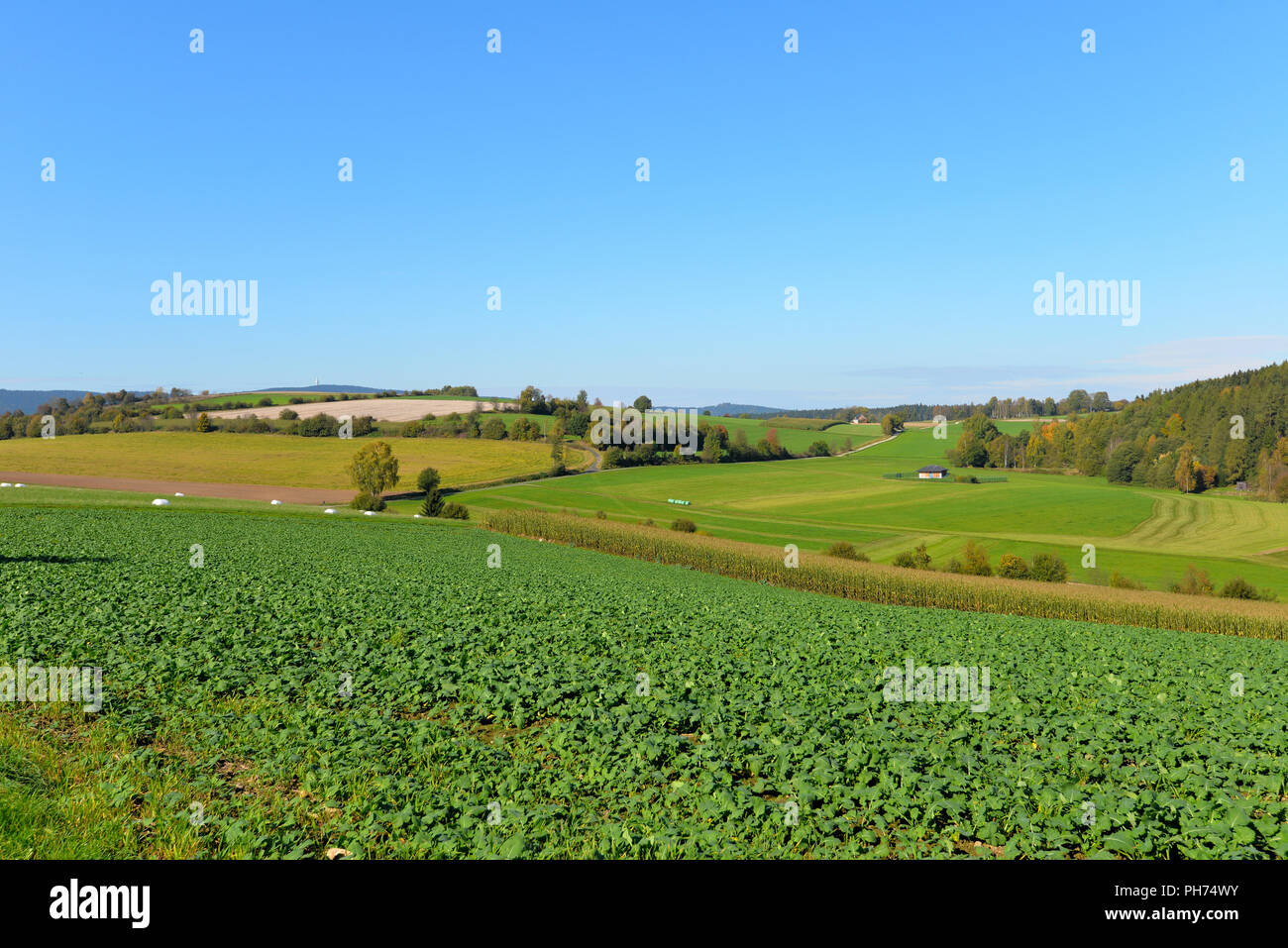 Boring landscape hi-res stock photography and images - Alamy