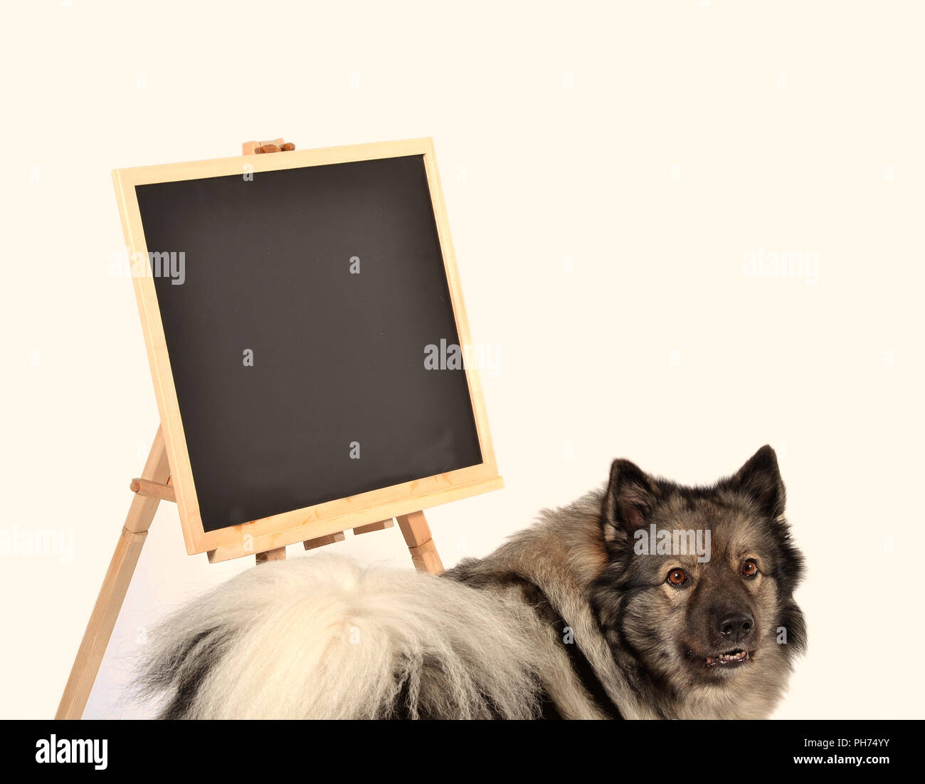 Yawn school hi-res stock photography and images - Alamy